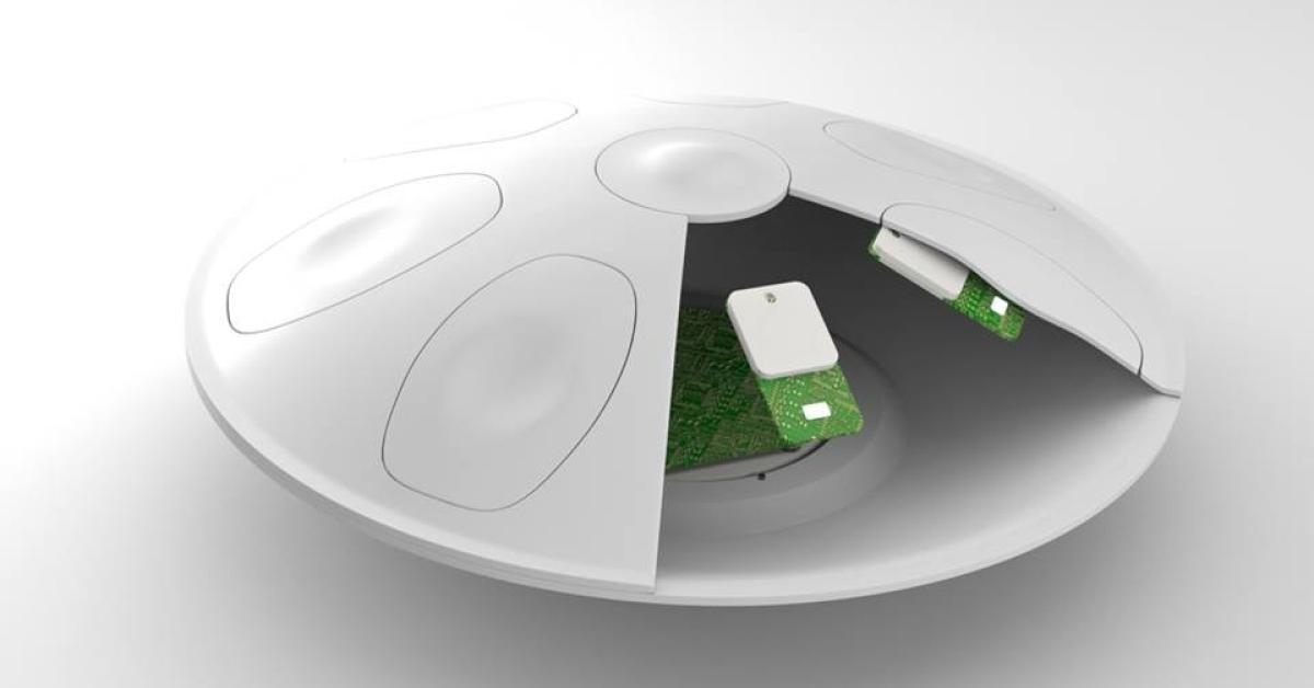 Oval - das innovative Instrument | Beat